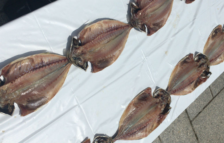 Longest line of edible fish | Guinness World Records