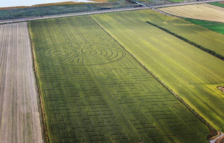 Largest corn / crop maze (temporary) | Guinness World Records